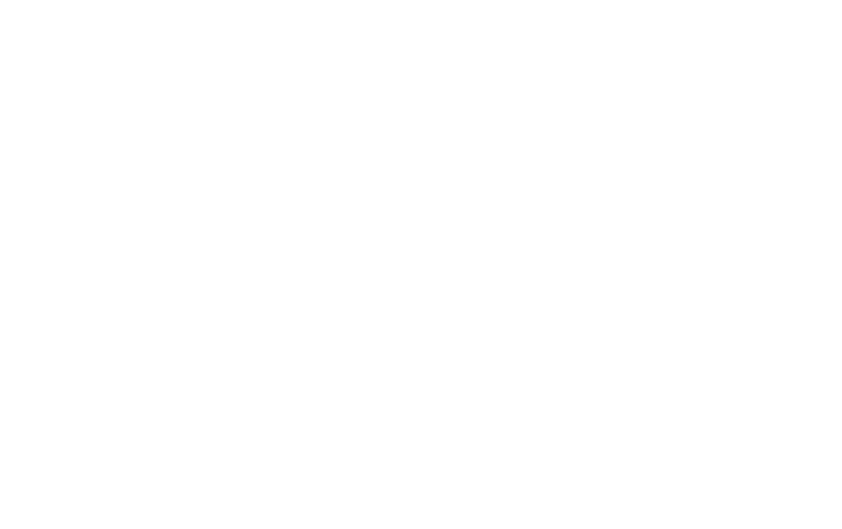 About – The Berg Group